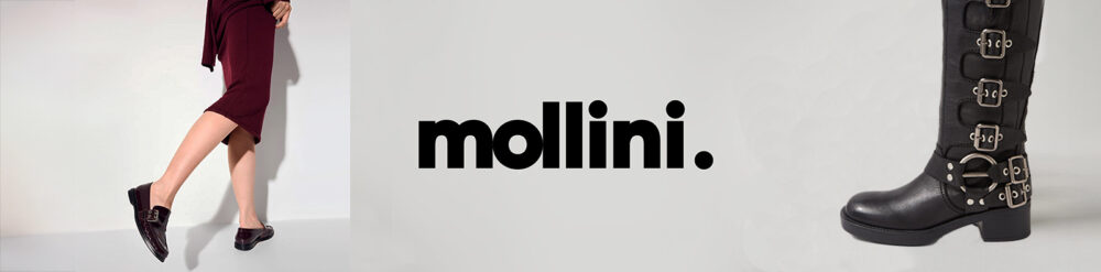 Mollini - ShoeBeDoo